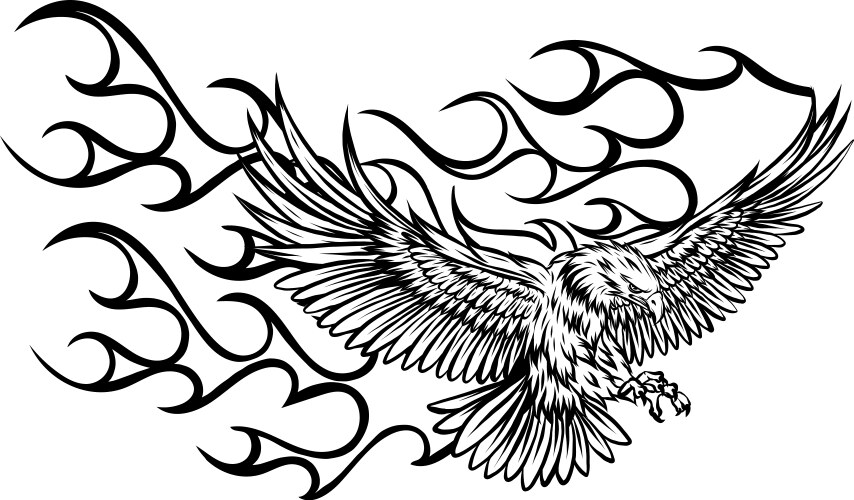 Hawk Clipart Vector Images (over 770)