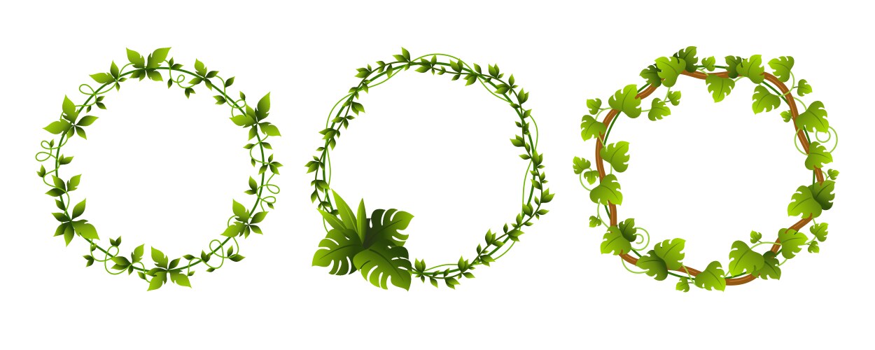 Border ivy Vector Images & Graphics for Commercial Use | VectorStock