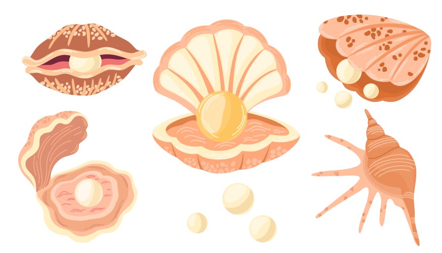Clam Shell Clip Art Vector Images (over 280)