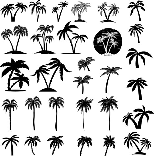 Set of palm tree icons isolated on white Vector Image