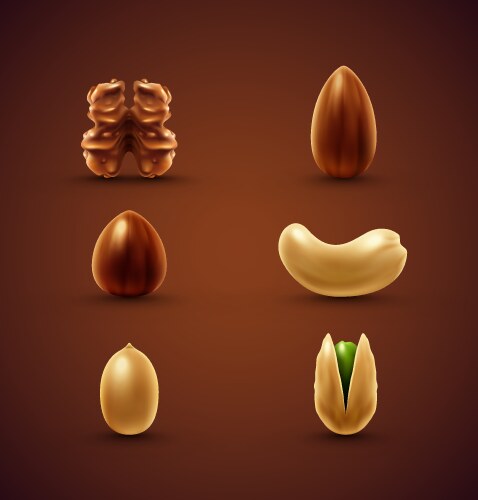 Nuts Vector Images (over 85,000)