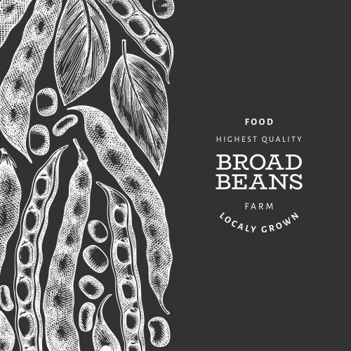 Hand drawn broad beans design template organic Vector Image