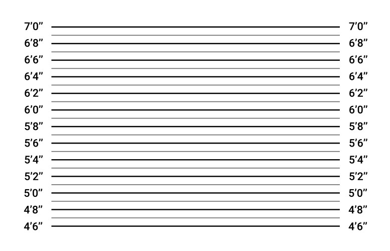 Height Chart in Jail Vector Images (over 190)