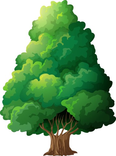 Tree Royalty Free Vector Image - VectorStock