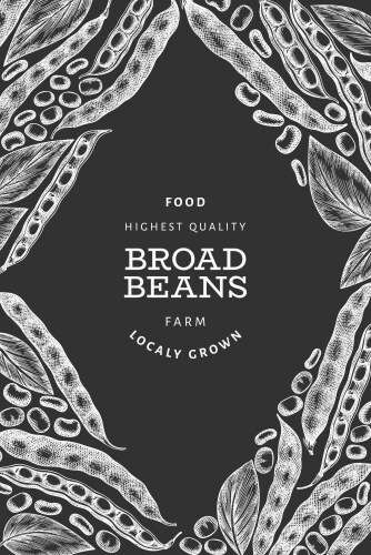 Hand drawn broad beans design template organic Vector Image