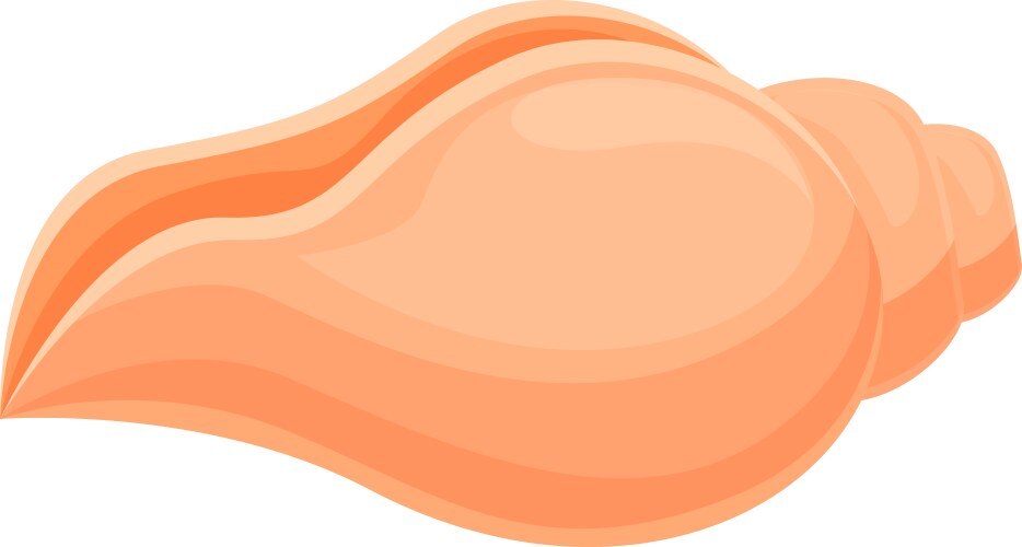 Conch Shell Cartoon Vector Images (over 1,700)