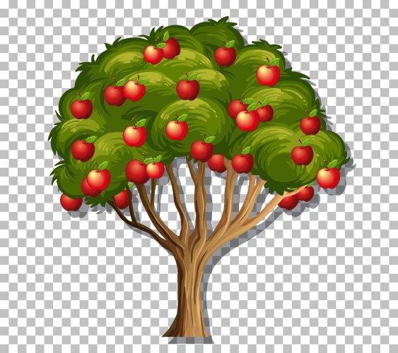 Apple tree on transparent background Royalty Free Vector