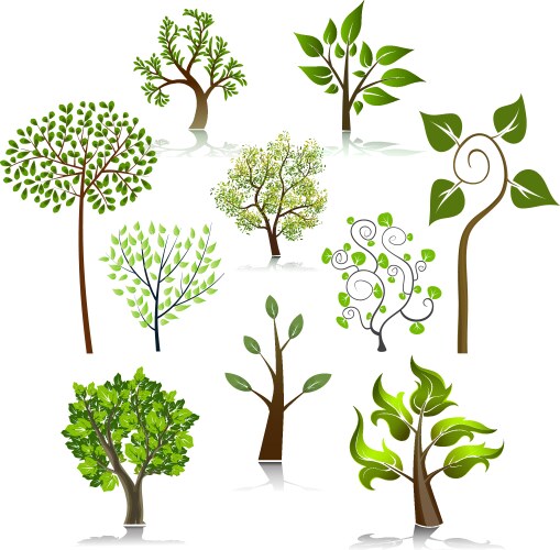 Bonsai tree Royalty Free Vector Image - VectorStock