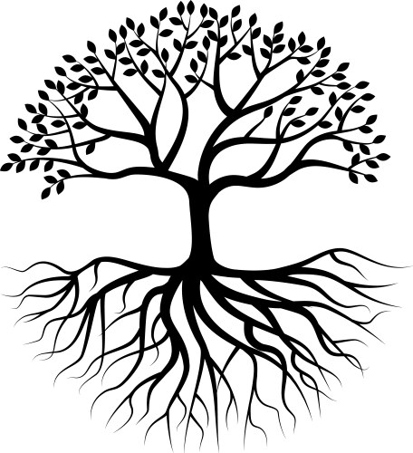 Tree Roots Black and White Vector Images (over 2,900)