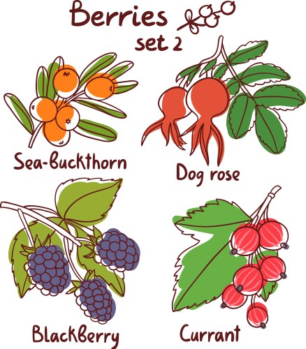 Berries set 3 Royalty Free Vector Image - VectorStock