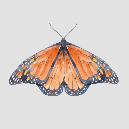 Beautiful clip art image with cute Royalty Free Vector Image