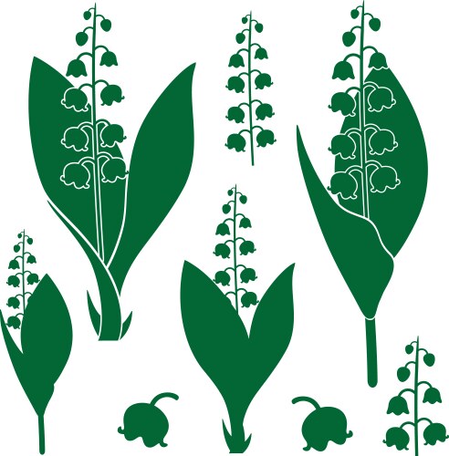 Lily Valley Vector Images (over 2,700)