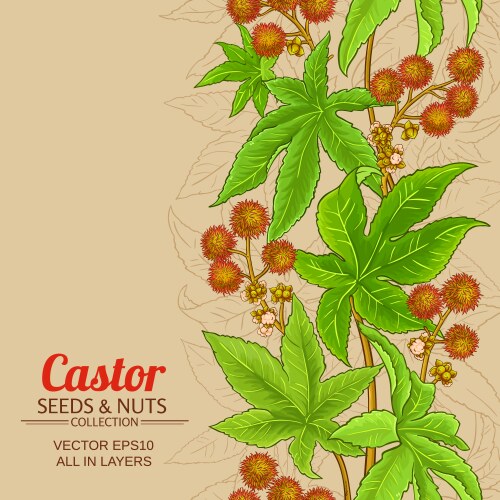 Castor Oil Vector Images (over 410)