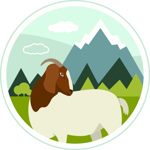Boer Goat Vector Images (96)