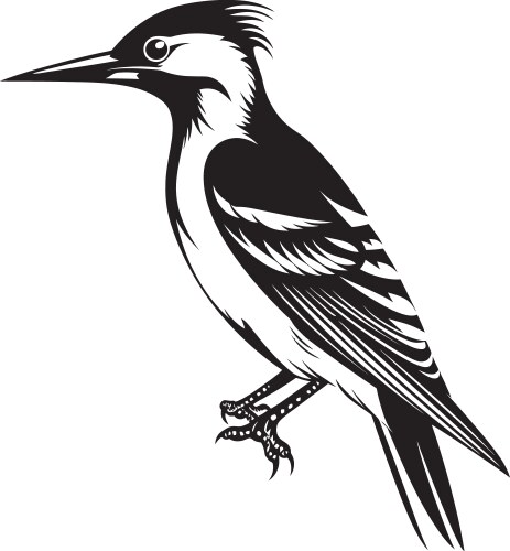 Beak Vector Images (over 96,000)