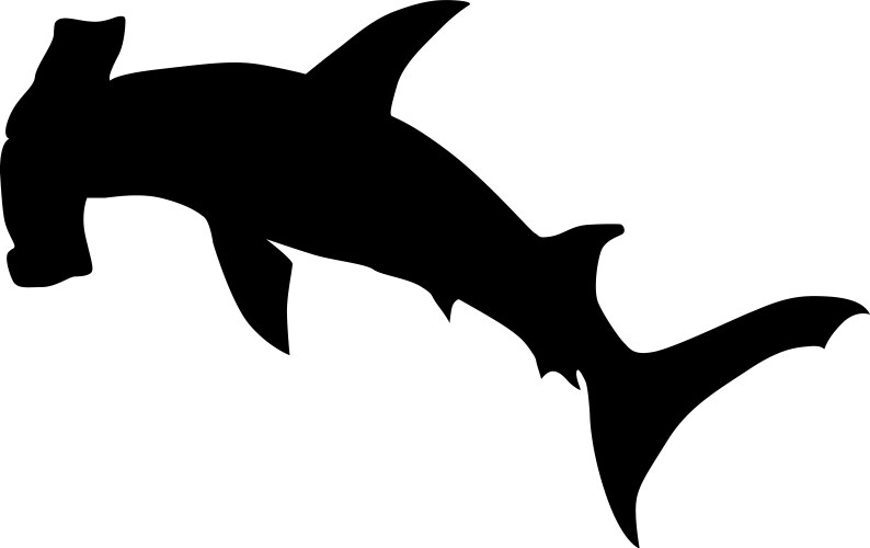 Hammerhead Vector Images (over 1,400)
