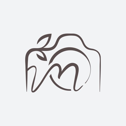 M Camera Logo Vector Images (over 370)