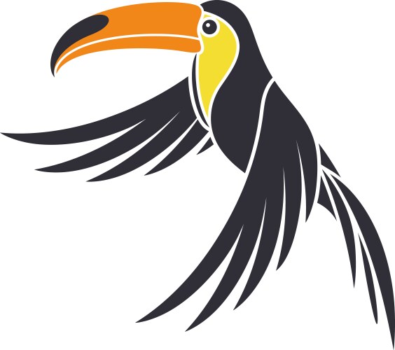 Toucan Vector Images (over 15,000)