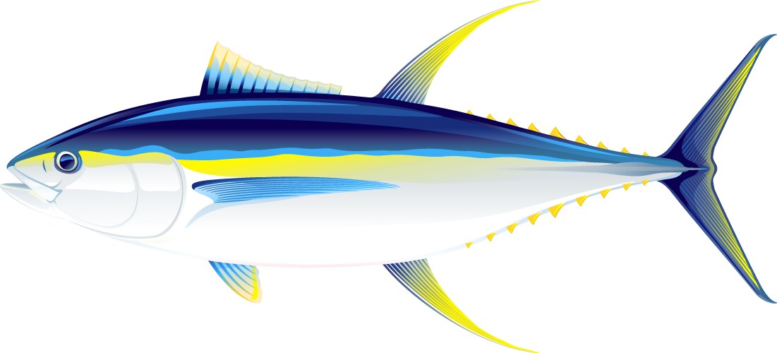 Tuna Vector Images (over 30,000)