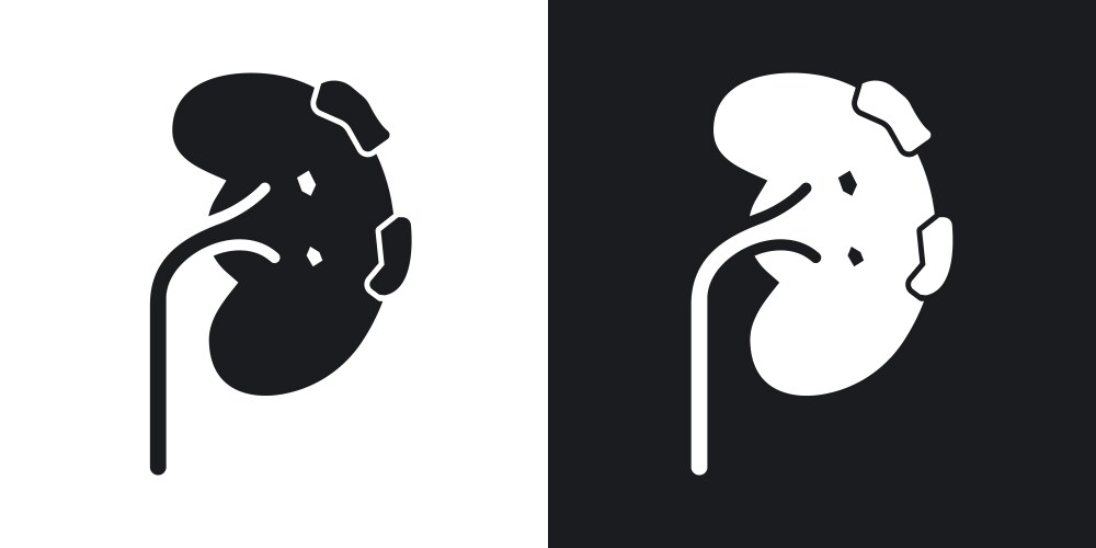 Kidney disease icon set on white background Vector Image