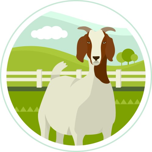 Boer Goat Vector Images (over 100)