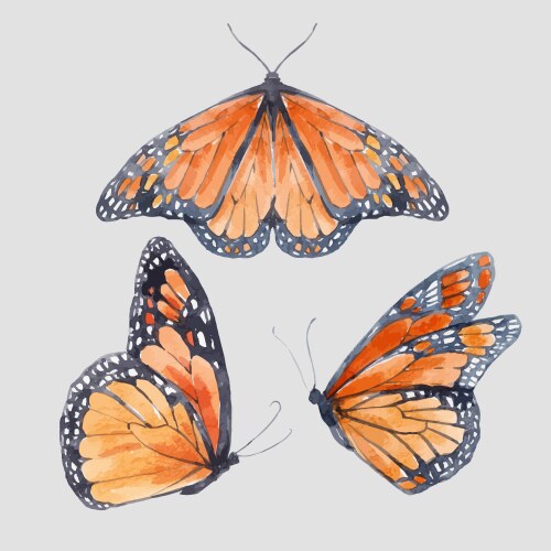 Beautiful clip art image with cute Royalty Free Vector Image