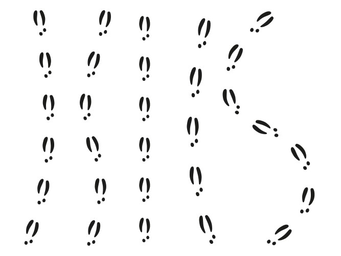 Rabbit Foot Vector Images (over 1,300)