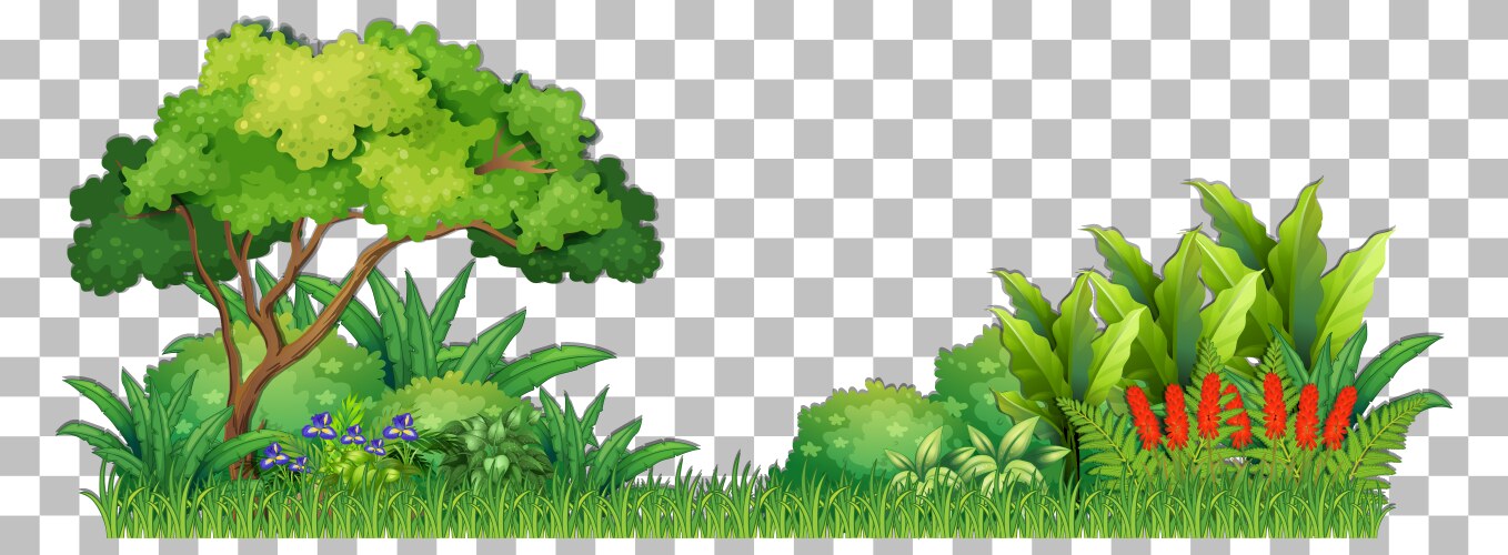 Blank nature park scene on transparent background Vector Image