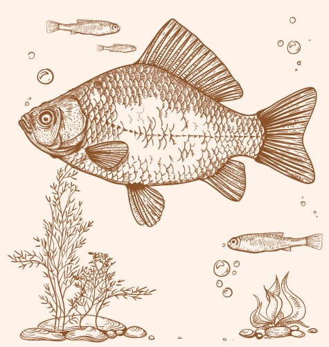Fish Vector Images (over 470,000)