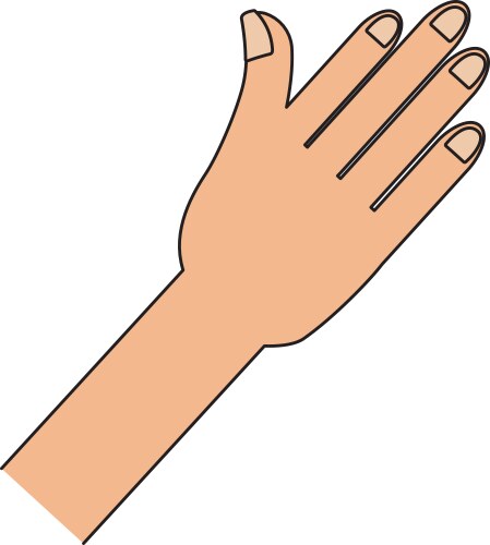 Human hand cartoon Royalty Free Vector Image - VectorStock