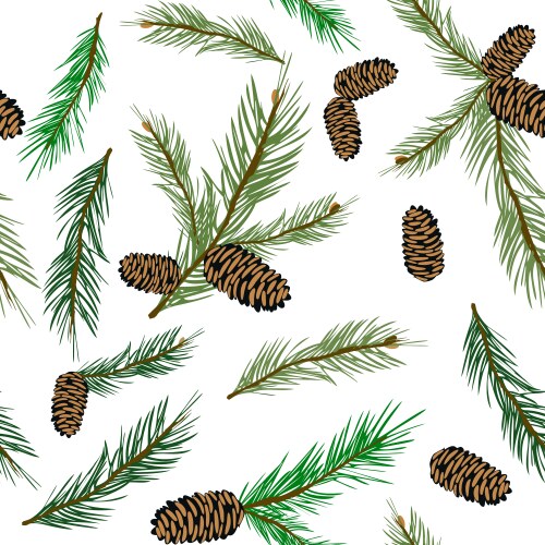 Pinecone Vector Images (over 6,900)