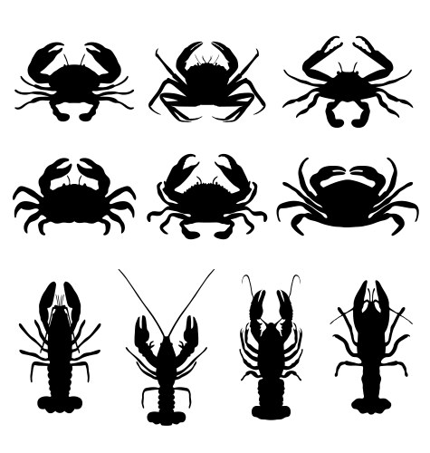 Crab Royalty Free Vector Image - VectorStock