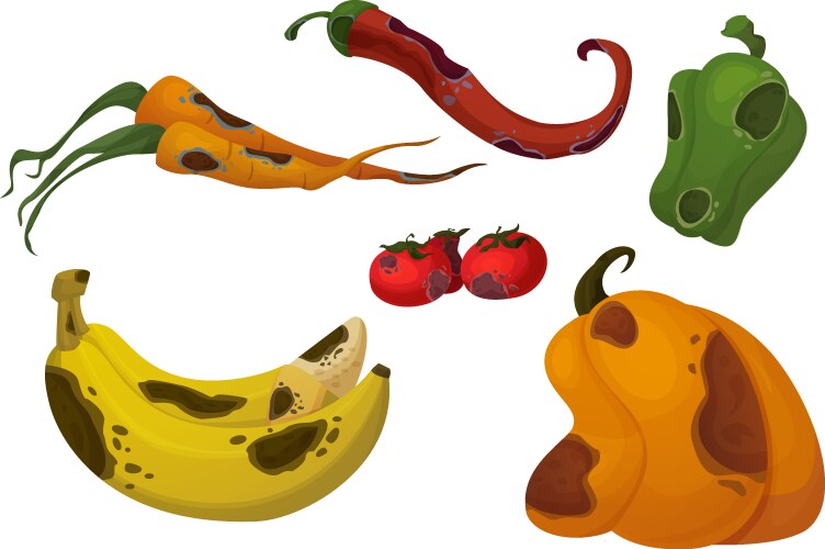 Garden fruits with skin covered stinky rot Vector Image