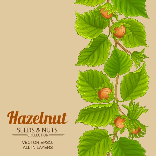 Hazelnut branches with nuts set on white Vector Image