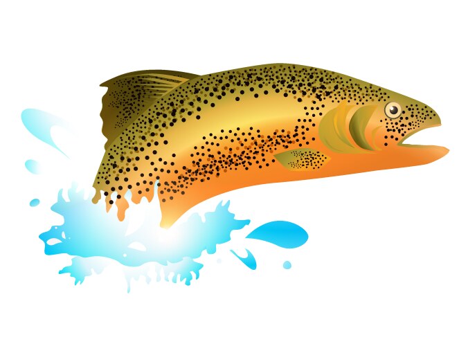 Jumping salmon Vector Images & Graphics for Commercial Use | VectorStock