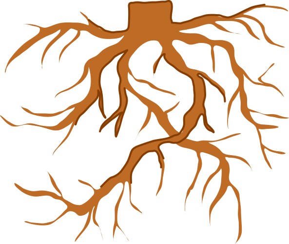 Cartoon Plant Root Vector Images (over 13,000)