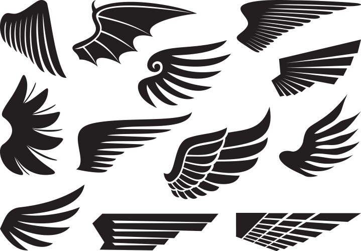 Dragon Wings Vector Images (over 11,000)
