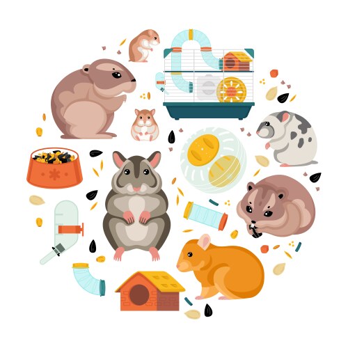 A hamster cage isolated Royalty Free Vector Image
