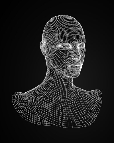3d head wireframe drawing Royalty Free Vector Image