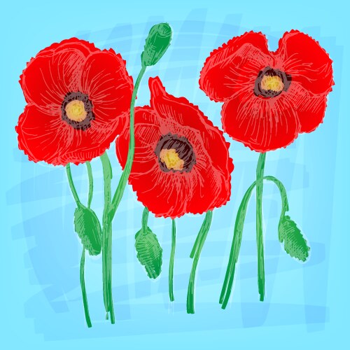 Poppy Royalty Free Vector Image - VectorStock