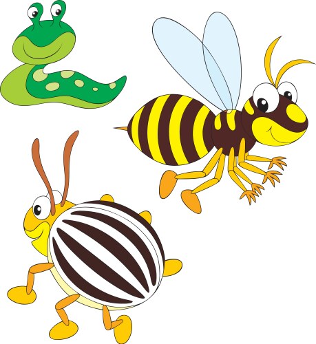 Potato beetle insect cartoon Royalty Free Vector Image