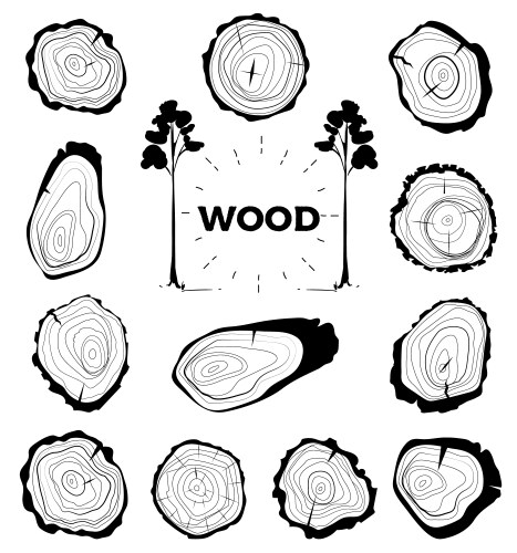 Tree cross section Royalty Free Vector Image - VectorStock