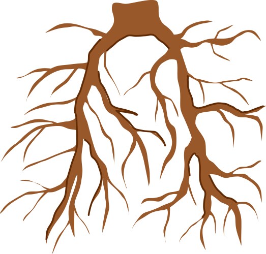 Cartoon Plant Root Vector Images (over 13,000)