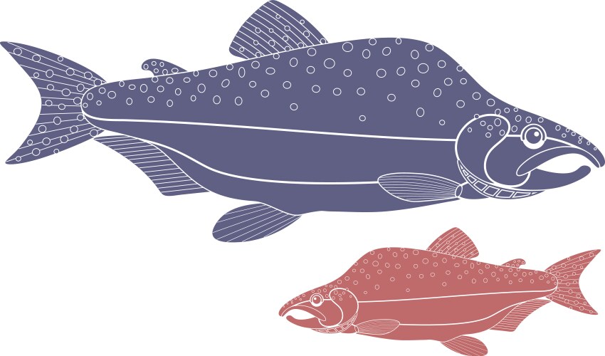 Salmon fillet Royalty Free Vector Image - VectorStock