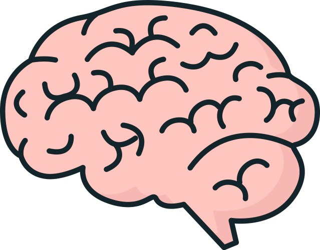 Human brain drawing representing thinking process Vector Image