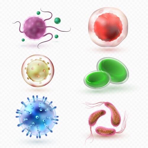 Scientific medical cells human body Royalty Free Vector