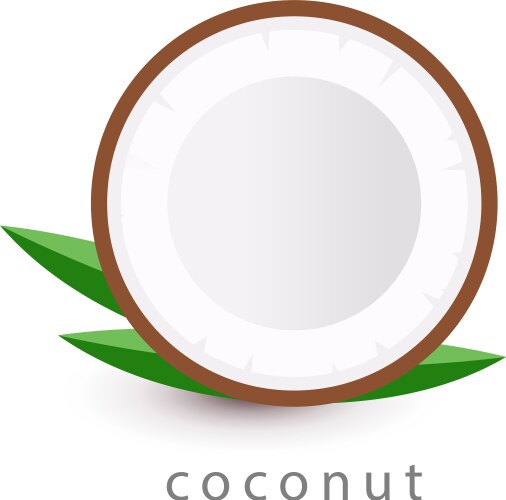 Coconut detailed icon Royalty Free Vector Image