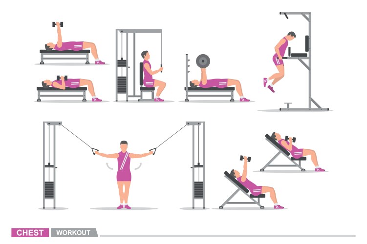 Chest building exercises and muscle Royalty Free Vector