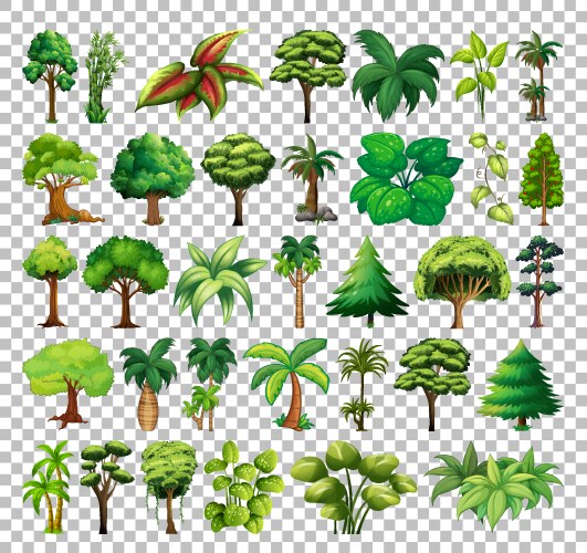 Realistic trees transparent set Royalty Free Vector Image