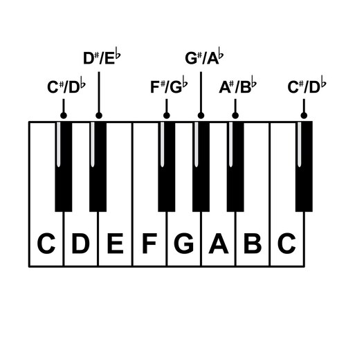 Piano Keyboard Layout Diagram – Royalty-Free Vector | VectorStock